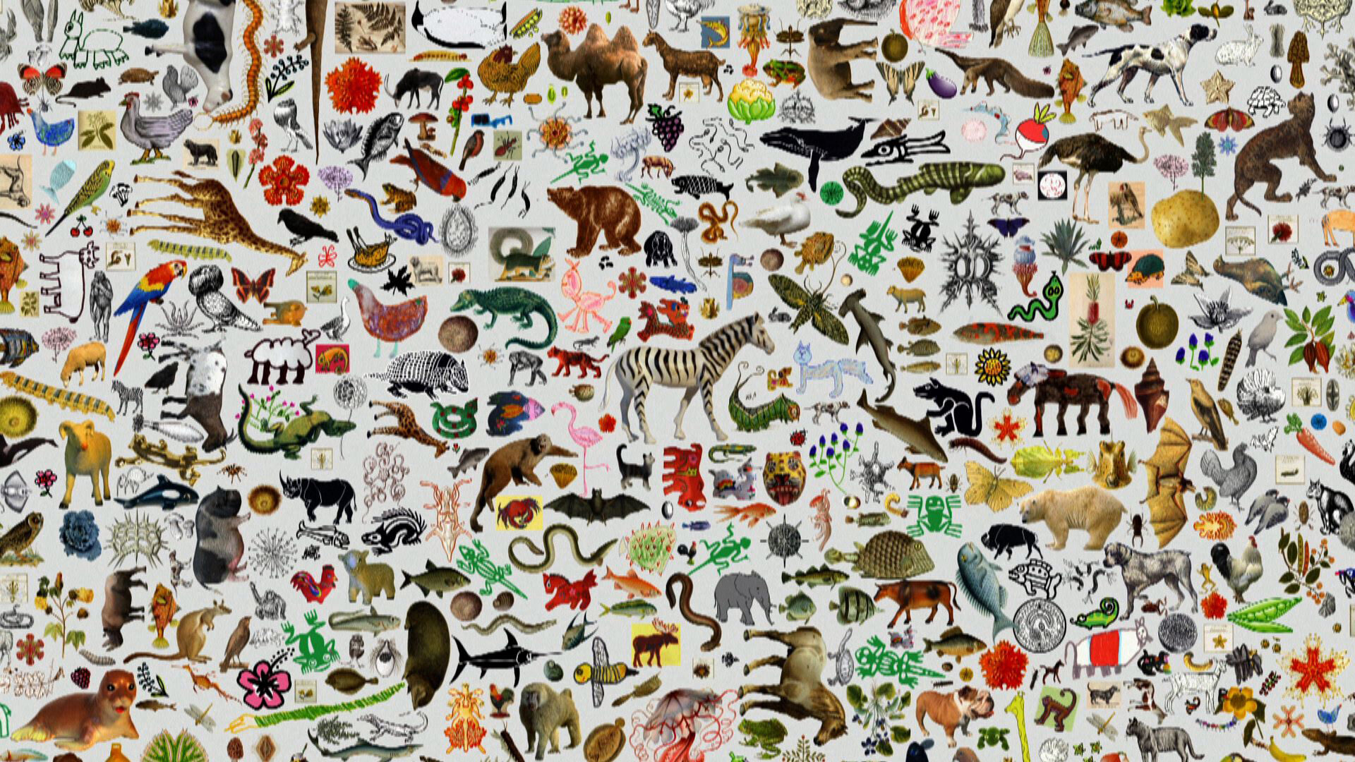 Espèces d'espèces - Agat Films - Ex Nihilo